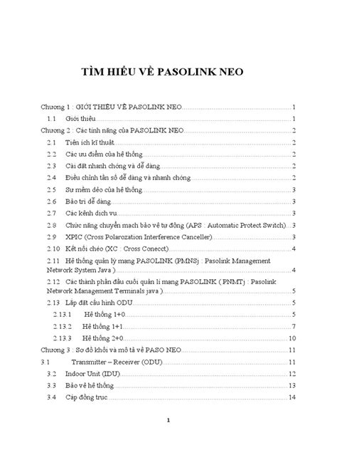 tìm hiểu về pasolink neo pdf