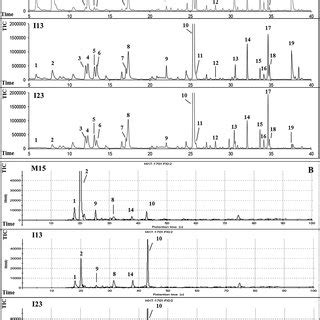 A Overlapping Of Volatile GC Traces Obtained By SPME GCMS Analysis Download Scientific