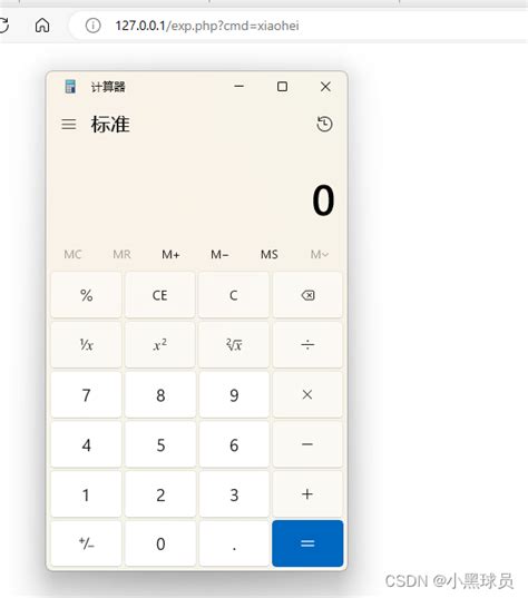 简易通过php反序列化漏洞执行系统指令反序列化漏洞简单验证php反序列化漏洞可以执行命令吗 Csdn博客