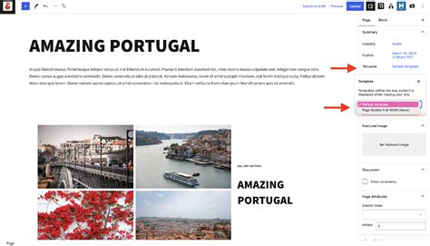 What Is The Default Template Wordpress My Blog