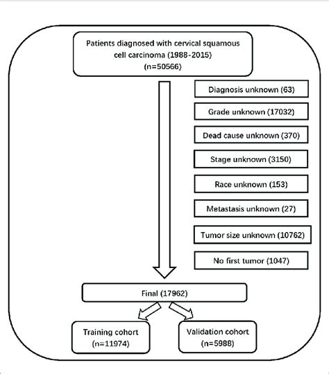 Chart Of The Data Filtering Process And Grouping Information