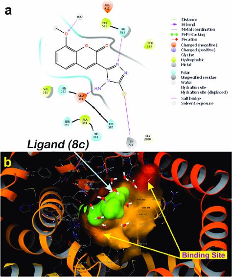 Two Dimensional Putative Binding Pose Of Ligand 8c With Ace Pdb Id
