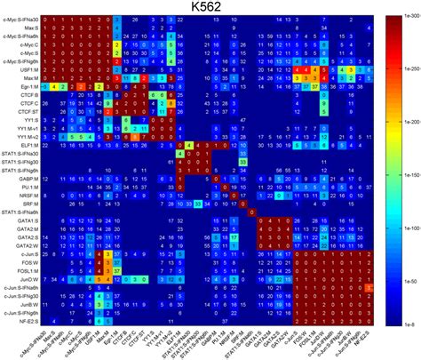 Spatial Binding Constraints Detected From Encode Chip Seq Download