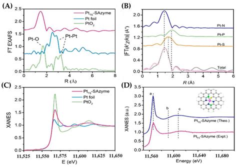 Single Atom Nanomaterials In Electrochemical Sensors Applications