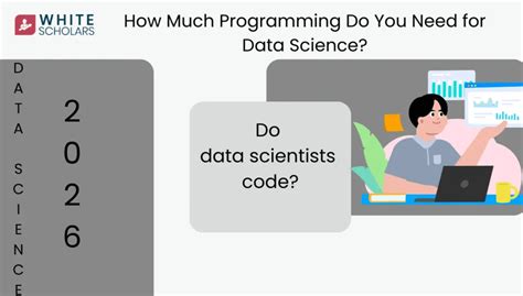 How Much Programming Do You Need For Data Science Whitescholars