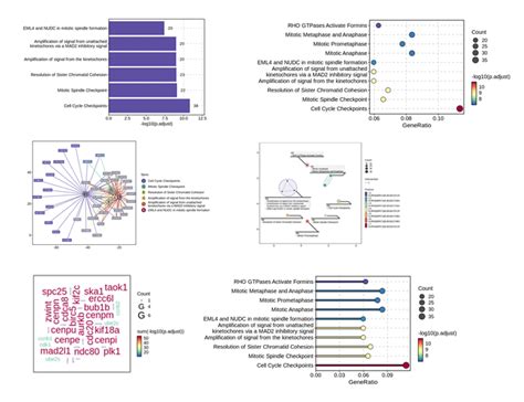 publication quality plots for single cell data analysis scplotter