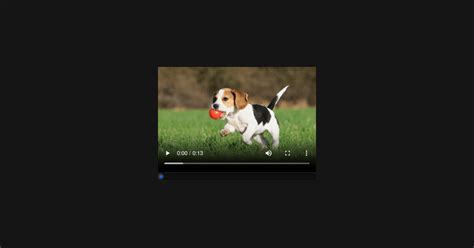 Cloudinary Vue Nuxt Codesandbox