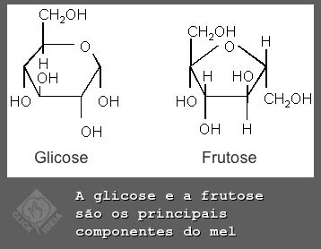 História Do Mel Qual Sua Origem Mundo Ecologia