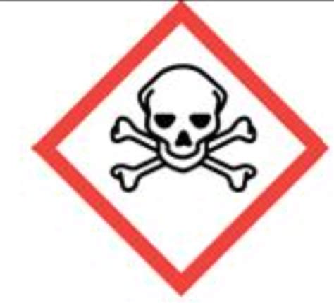 Flashcards Safety In Science Quizlet