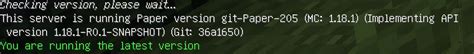 chunk load problem · issue 7494 · papermc paper · github