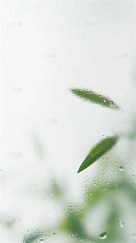 背景系列竹叶光影肌理模糊感背景素材 花瓣网