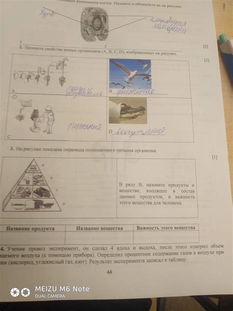 1 Назовите и обозначьте основные компоненты клетки на рисунке