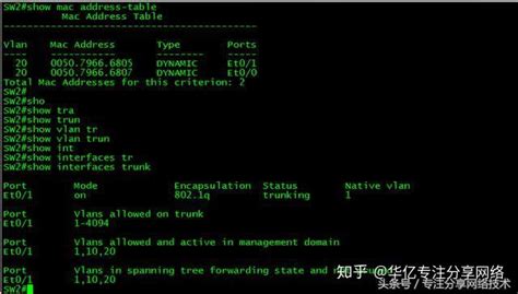 邻居发现协议cdpvlantrunk两分钟快速掌握 知乎