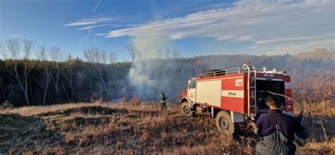 Пожар избухна в гора край Варна заради запалени гуми СНИМКА Информационна агенция ПИК
