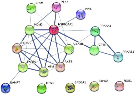 ppi network of 18 anti multiple myeloma functional targets of