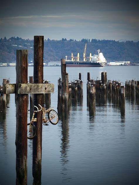 Commencement Bay From Dickman Mill Park Rtacoma