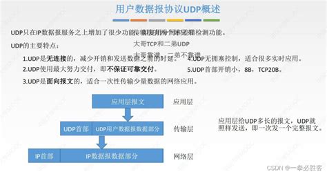 【传输层】概述、复用分用、udp详解、udp校验udp校验和分载传输 Csdn博客