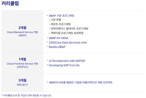 Sap 시장 진입 방법부제 Sap 컨설턴트나 Abap 개발자 되기