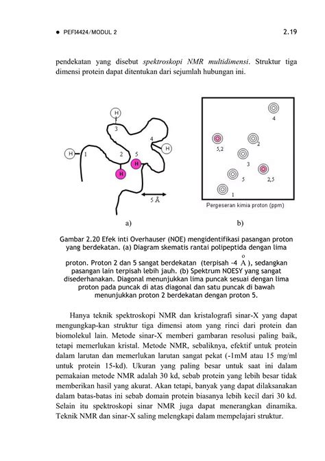 Modul 2 Struktur Dan Fungsi Protein Pdf