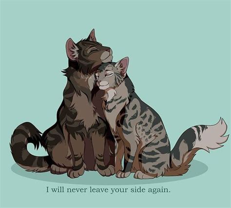 Warrior Cats Dustpelt