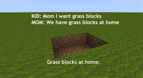 Mom I Want Grass Blocks Rphoenixsc