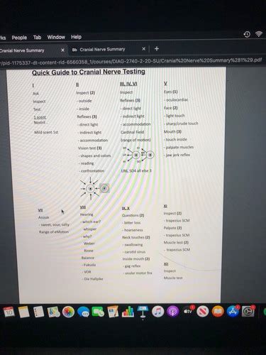 Neuro Lab Flashcards Quizlet