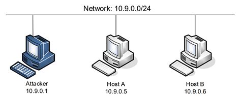 Seedlab——packet Sniffing And Spoofing Labseed Labs Packet Sniffing