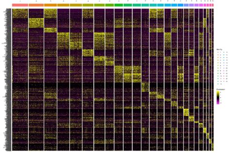 212 Heatmap Of Clusters Genes On Rows Cells Grouped Together Into