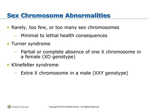 Chapter Sex And The Brain Ppt Download