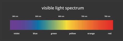 Visible Light Spectrum Infographic Gradient Diagram Electromagnetic