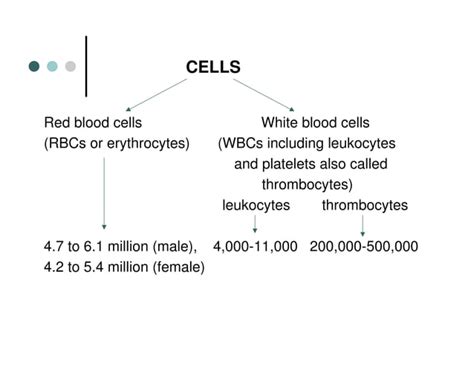 Isolation Of Pbmc Pdf Blood Disorders Diseases And Conditions