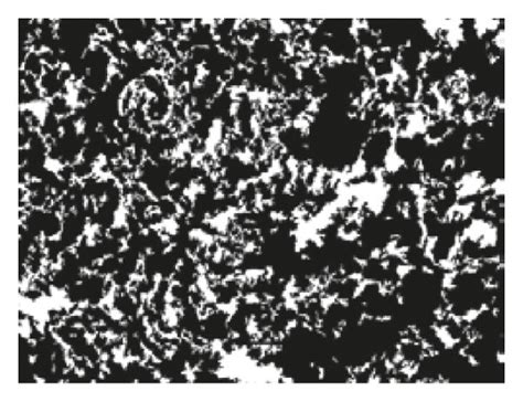 the sem image segmentation into binary image of soft clay under