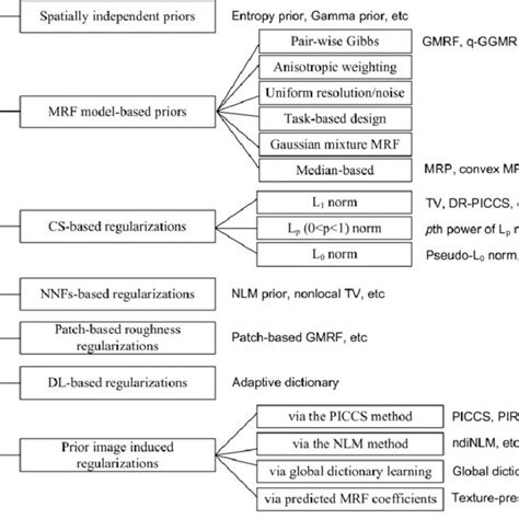 Overview Of The Regularization Strategies In Sir For Low Dose Ct Download Scientific Diagram