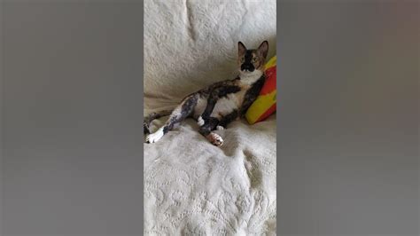 в женщине должна быть загадка Youtube