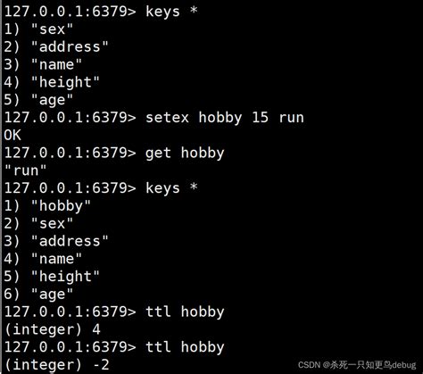 redis基本数据结构StringHashSetListSortedSet学习笔记 阿里云开发者社区