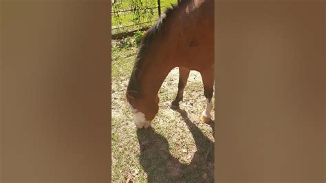 September 21 2024 Youtube