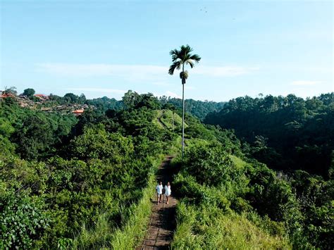 Cosas Que Ver Y Que Hacer En Bali