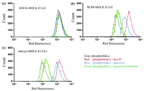 Representative Histogram Of Pheophorbide A Accumulation In Mock Mdckii