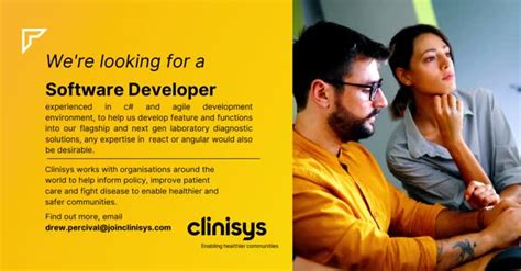 Anja Lefranc On Linkedin C Software Developer Job Advert