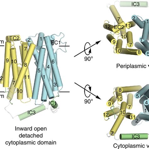 Movements In The Substrate Binding Site For Sugar Release A Views Of Download Scientific
