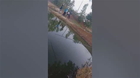 Viral Reel Viralvideo Viralvideo Viralpos Subscribe Mviews Youtube