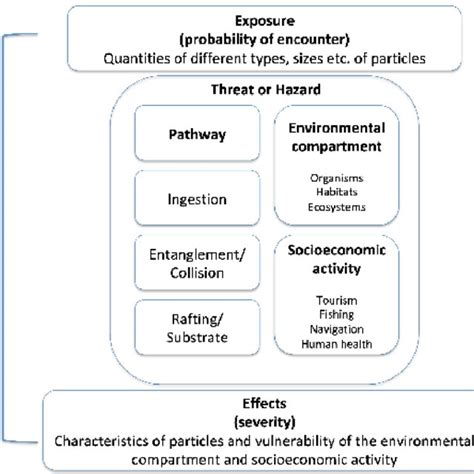1 Risk Assessment Framework Of Plastics And Microplastics Drawn By A
