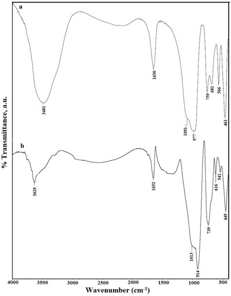 ft ir spectra of the zeolite x a and analcime b products download