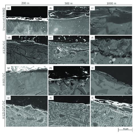 Sem Micrographs Of The Cross Section Of The Wear Surface Of The Download Scientific Diagram