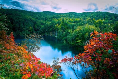 Обои природа лист растительность дикая местность вода 4k Ultra Hd
