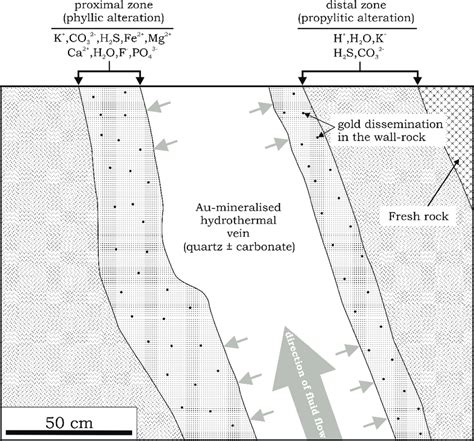 14 Schematic Of The Wall Rock Alteration Processes At Batouri Showing Download Scientific