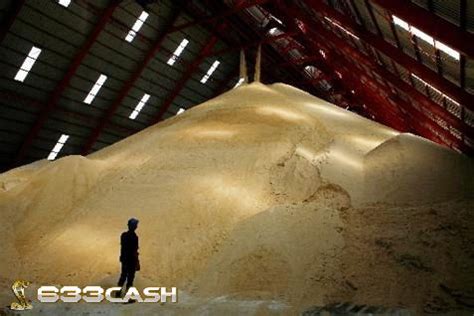 Pabrik Gula Aren Terbesar Di Dunia Ada Di Indonesia RAKSASABERITA