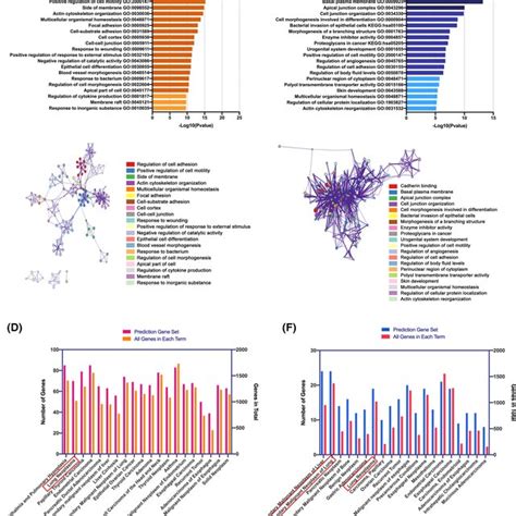 Single‐cell Transcriptomic Atlas Of 29 Samples From Normal Lung Early