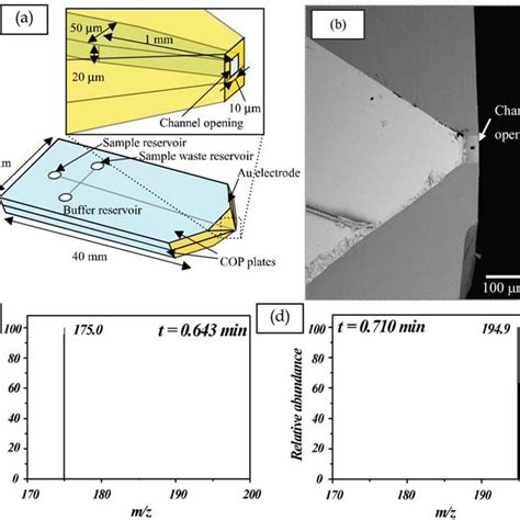 A MCE ESI MS Microchip Made Of Two COP Plates A Design B SEM Download Scientific Diagram