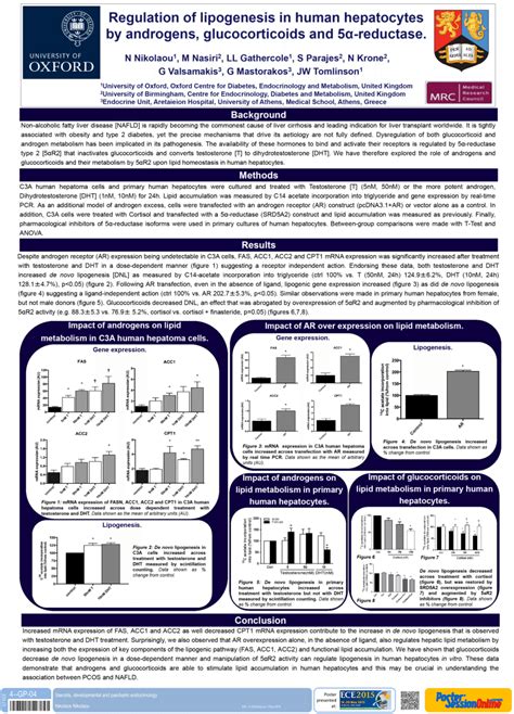 Pdf Regulation Of Lipogenesis In Human Hepatocytes By Androgens